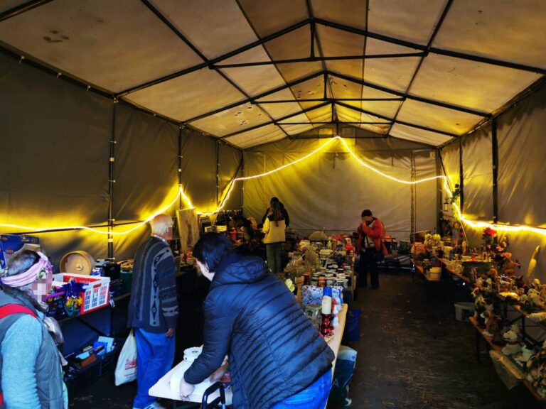 Tierheim Nied – Tierschutzverein Schwalbach & Frankfurt-West e.V.